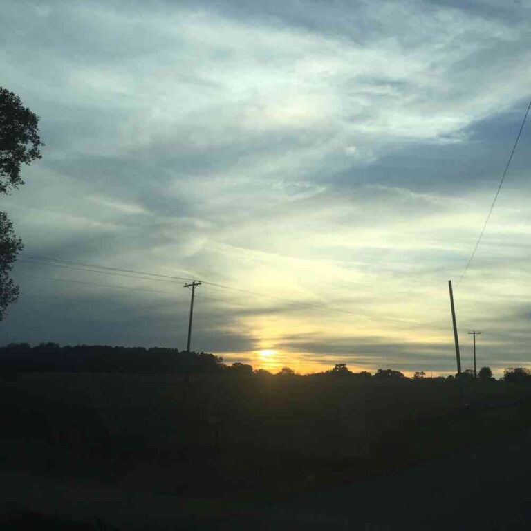 Things to do in Albertville Alabama: Essential Guide - Life in the USA
