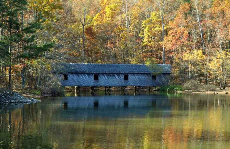 Things to do in Foley Alabama: Unmissable Attractions & Activities ...