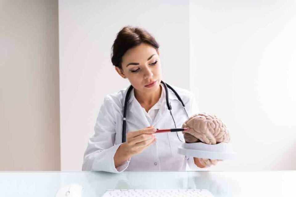Best Neurologists in Michigan: Your Top Choices Revealed - Life in the USA